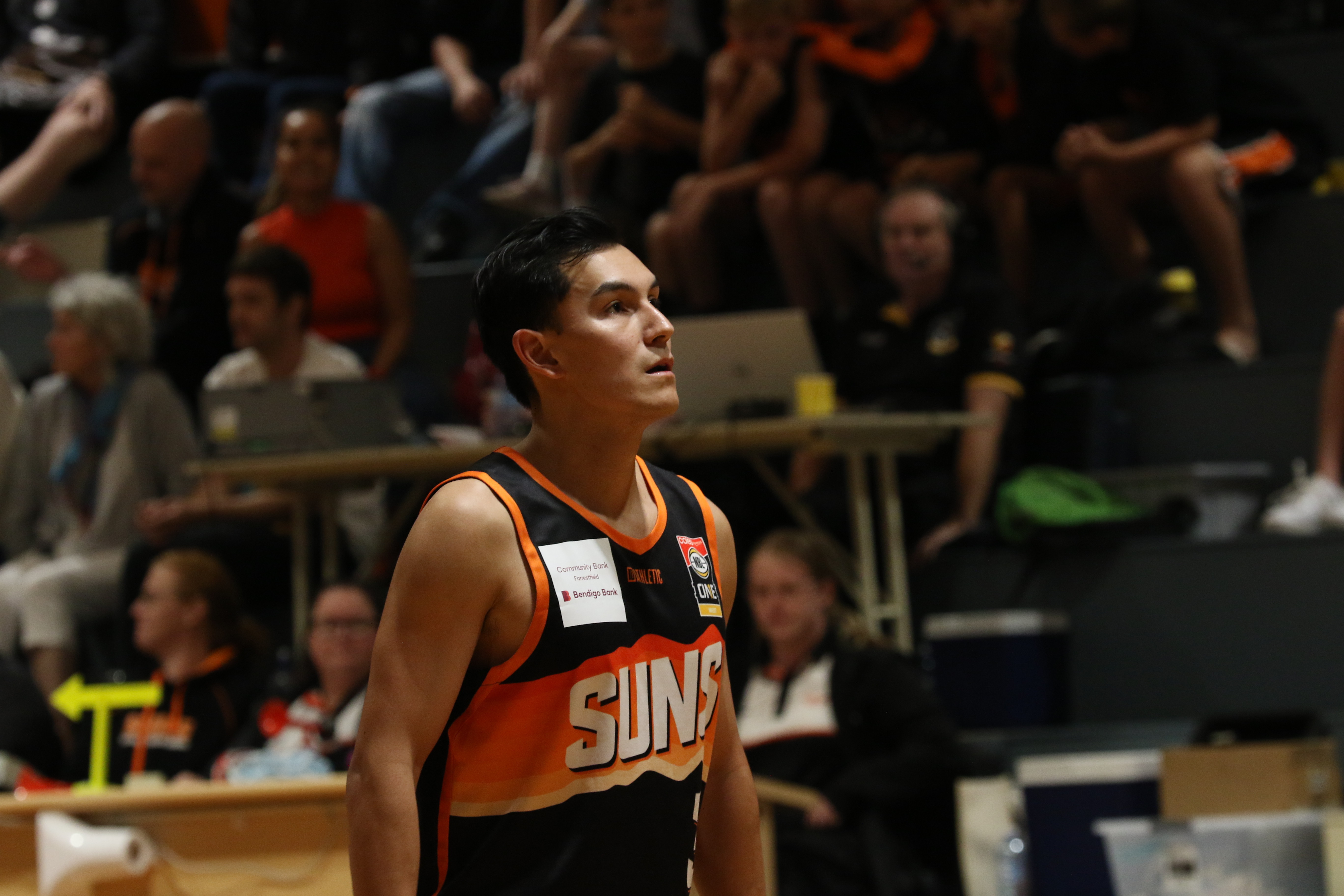 Dinardo focused on Suns success ahead of 200th game