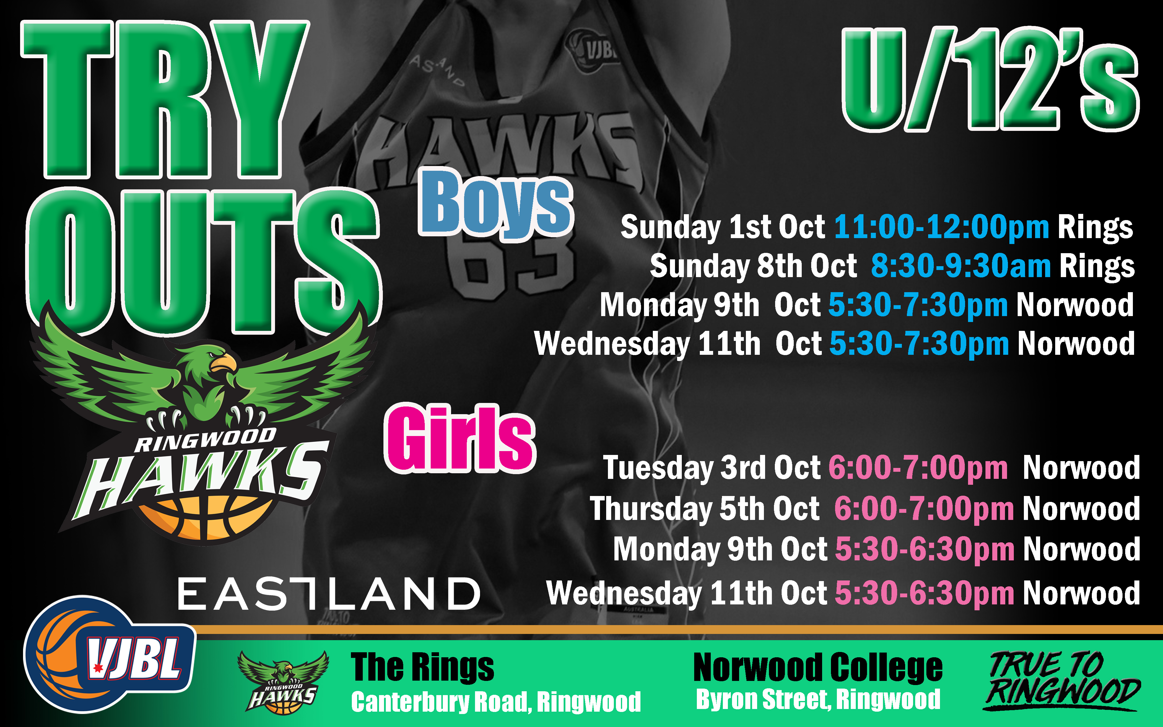 NBL1 – Your Team. Your Rivals. 1 Champion.