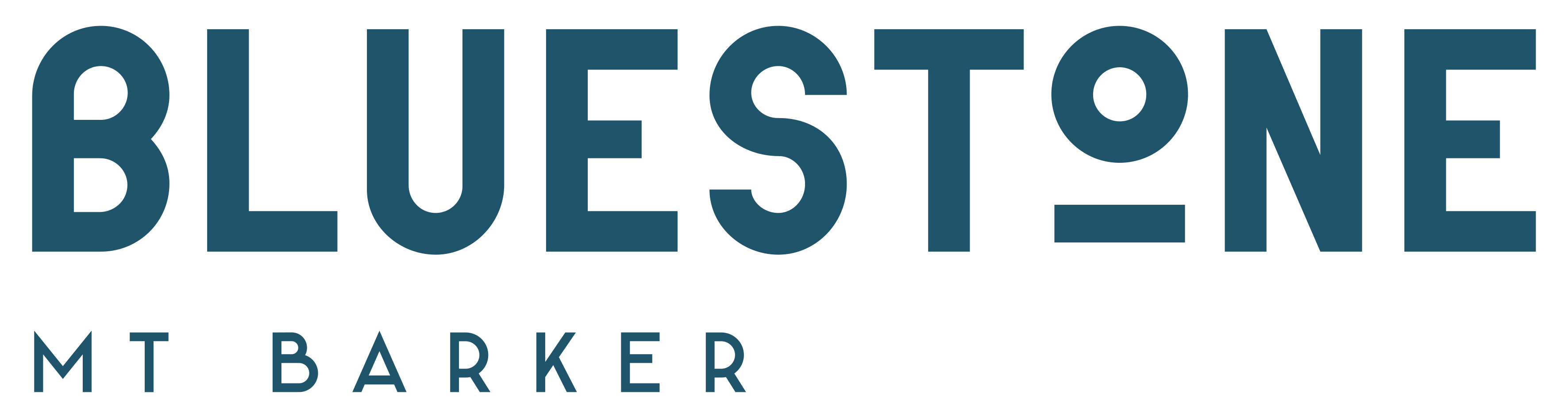 NBL1 – Your Team. Your Rivals. 1 Champion.